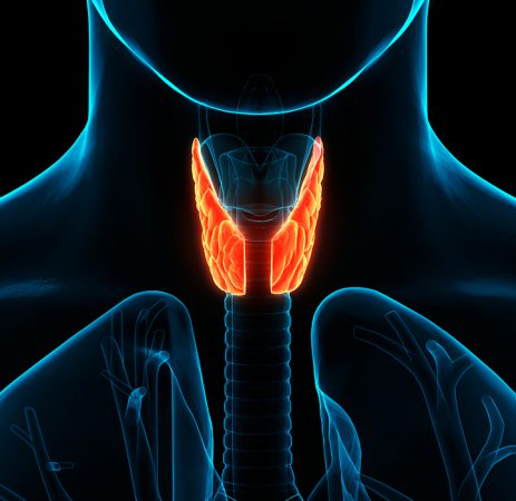 Tireoide: Sintomas, diagnósticos e tratamentos | Nav Dasa