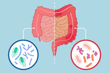 O que é microbiota intestinal e qual sua função?| Nav Dasa