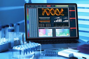 O que é microbiota intestinal e qual sua função?| Nav Dasa
