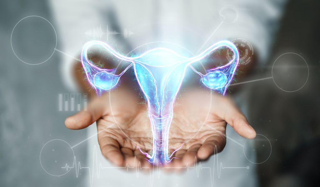 Vaginose bacteriana: sintomas e tratamentos | Blog Nav Dasa