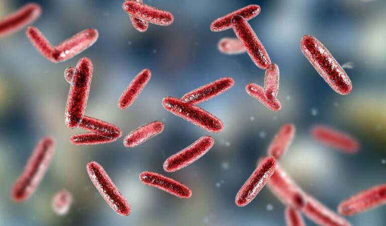 Sepse: o que é, causas e sintomas | Blog Nav Dasa