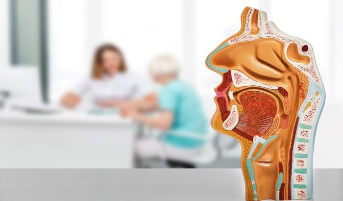 Nasofibrolaringoscopia: o que é e como é feita | Blog Nav Dasa