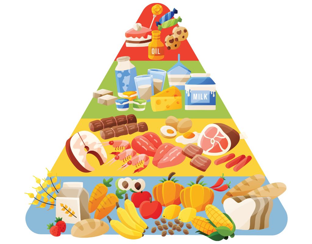 Pirâmide alimentar: o que é e como funciona? | Blog Nav Dasa